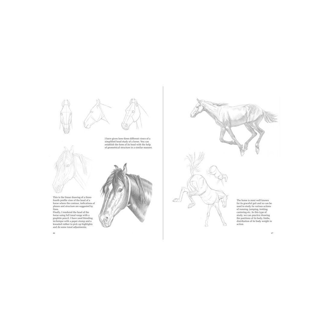 Approach To Drawing Animals By Gopal Nandurkar | Art Lounge